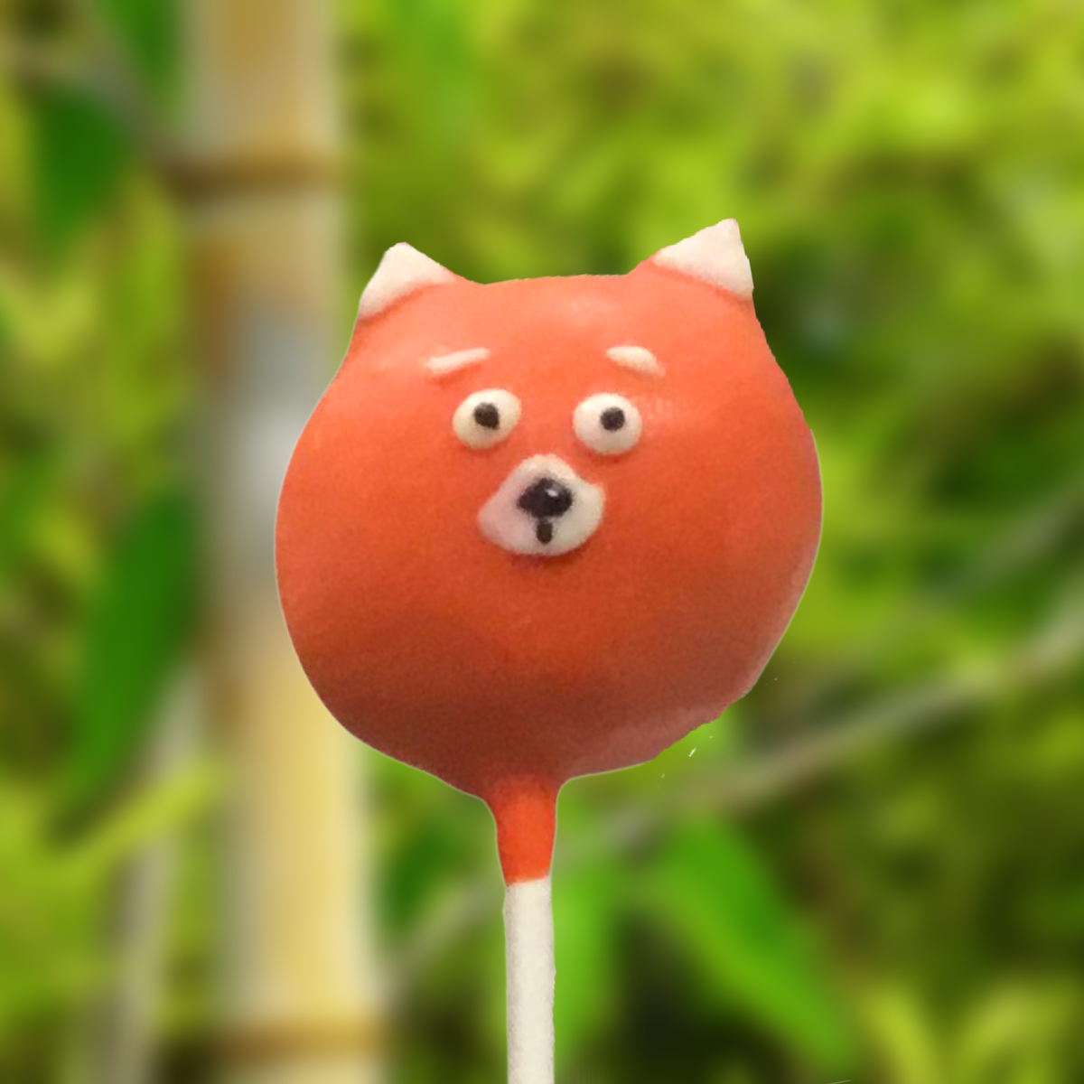 Red Panda Jumbo Cakepops – Baked by Yael