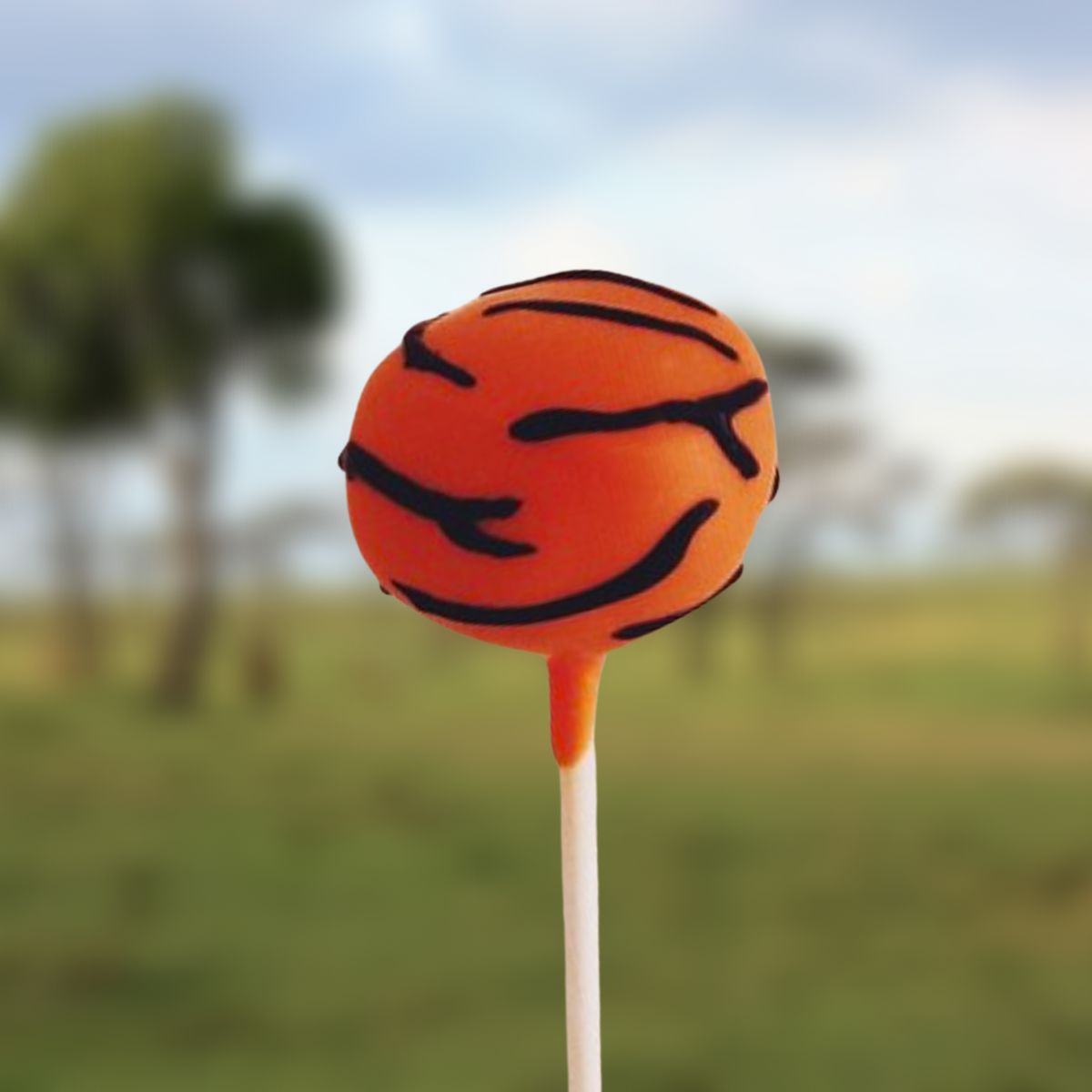 Tiger Print Cakepops – Baked by Yael
