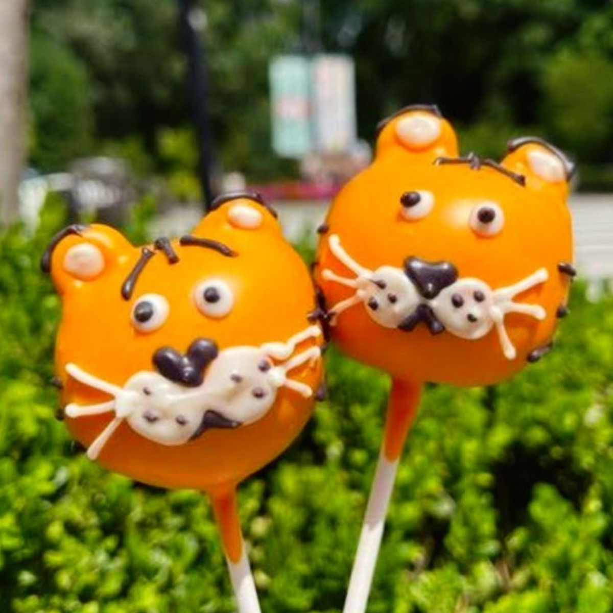 Tiger Jumbo Cakepops – Baked by Yael
