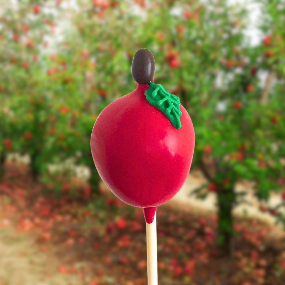 Jumbo Apple Cakepops – Baked by Yael