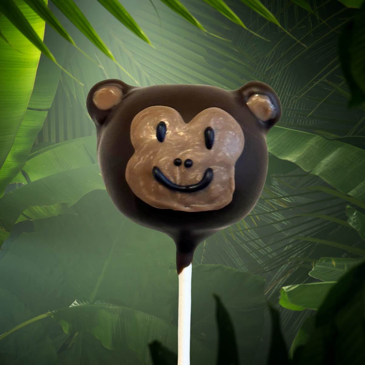 Monkey Jumbo Cakepops – Baked by Yael